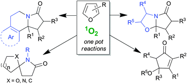 Furans and singlet oxygen – why there is more to come from this ...