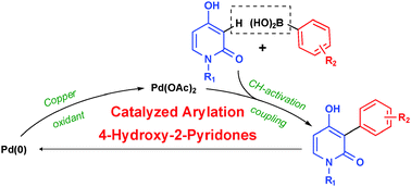 Palladium catalyzed C3-arylation of 4-hydroxy-2-pyridones - Chemical ...