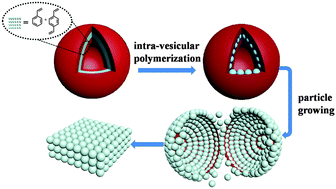 Synthesis of monodisperse nanocolloidal microspheres with controlled ...