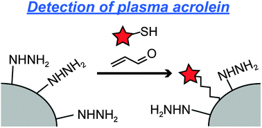 Practical fluorescence detection of acrolein in human plasma via a two ...