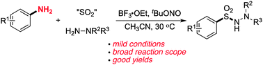 Aminosulfonylation of aromatic amines, sulfur dioxide and hydrazines ...