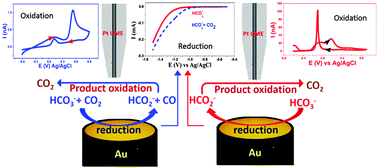 Selective reduction of CO2 to formate through bicarbonate reduction on ...