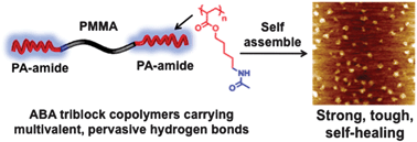 Multivalent hydrogen bonding block copolymers self-assemble into strong ...
