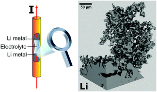 Three-dimensional characterization of electrodeposited lithium ...