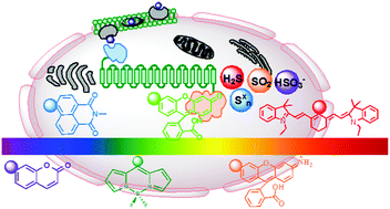 Fluorescent probes for hydrogen sulfide detection and bioimaging ...