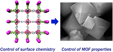 The surface chemistry of metal–organic frameworks - Chemical ...