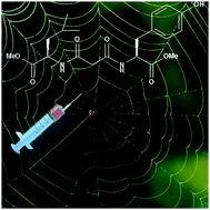 A small molecule peptidomimetic of spider silk and webs - Chemical ...