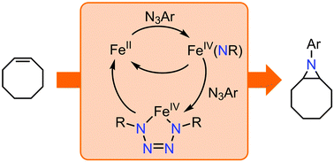 Probing the role of an FeIV tetrazene in catalytic aziridination ...