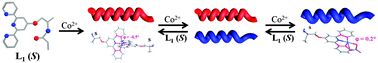 Reversibly tunable helix inversion in supramolecular gels trigged by ...