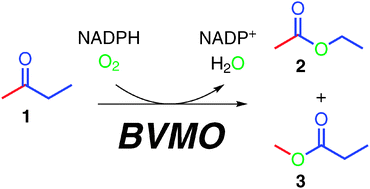 Methyl Propanoate