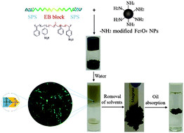 Hybrid high internal phase emulsion (HIPE) organogels with oil ...