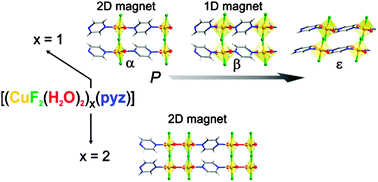 New magnetic frameworks of [(CuF2(H2O)2)x(pyz)] - Chemical ...