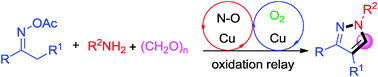 Practical synthesis of pyrazoles via a copper-catalyzed relay oxidation ...