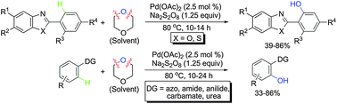 Palladium catalyzed Csp2–H activation for direct aryl hydroxylation ...