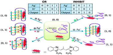 Construction of DNA logic gates utilizing a H+/Ag+ induced i-motif ...