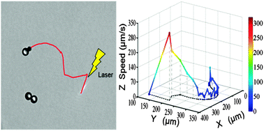 Near infrared-modulated propulsion of catalytic Janus polymer ...