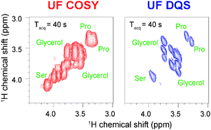 Ultrafast double-quantum NMR spectroscopy - Chemical Communications ...