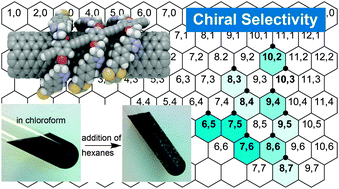 Dithiafulvenyl-grafted phenylene ethynylene polymers as selective and ...