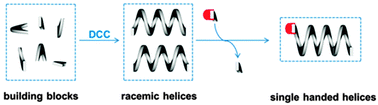 Spontaneous formation of organic helical architectures through dynamic ...