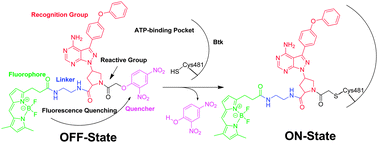 A general approach for the development of fluorogenic probes suitable ...