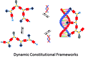 Dynamic constitutional frameworks for DNA biomimetic recognition ...