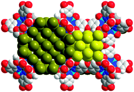 Natural Solid Structures When 3D Printed Mushrooms Make Music: