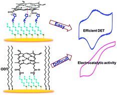 Structure orientation of hemin self-assembly layer determining the ...
