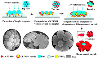 Droplet-assisted fabrication of colloidal crystals from flower-shaped ...