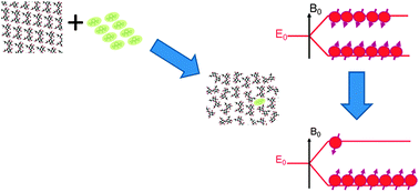Dynamic nuclear polarization of a glassy matrix prepared by solid state ...