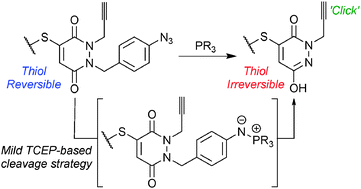 A mild TCEP-based para-azidobenzyl cleavage strategy to transform ...