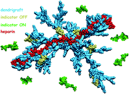 Monitoring clinical levels of heparin in human blood samples with an ...