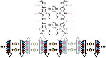 A supramolecular ladder polymer prepared by hydrogen bonding-mediated ...