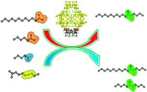 Substrate selective amide coupling driven by encapsulation of a ...