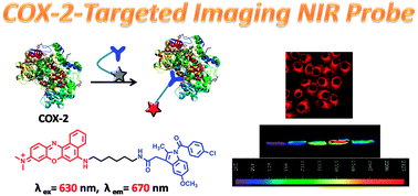 A Nile blue based infrared fluorescent probe: imaging tumors that over ...