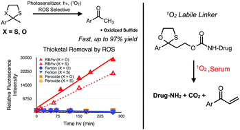 Thioketal Protecting Group