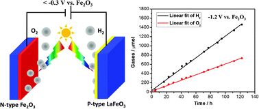 A highly durable p-LaFeO3/n-Fe2O3 photocell for effective water ...