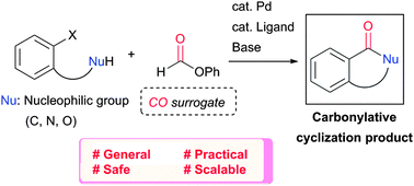 Concise synthesis of cyclic carbonyl compounds from haloarenes using ...