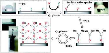 Plasma-enhanced atomic layer deposition: a gas-phase route to ...