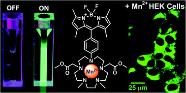 Tuning macrocycles to design ‘turn-on’ fluorescence probes for ...