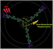 Two- and three-photon absorption and excitation phosphorescence of ...
