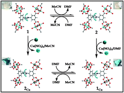 Solvent induced single-crystal to single-crystal structural ...