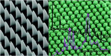 Fabrication of silver nanoplate hierarchical turreted ordered array and ...