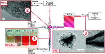 The sequential continuous-flow hydrothermal synthesis of molybdenum ...