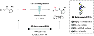 DNA-cellulose: an economical, fully recyclable and highly effective ...