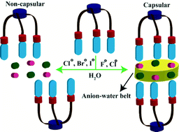 Hydrated anion glued capsular and non-capsular assembly of a tripodal ...