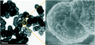 Facile synthesis of TiO2 hollow spheres composed of high percentage of ...