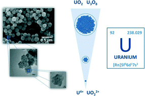 Preparation and characterisation of uranium oxides with spherical ...