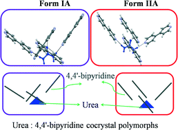 Polymorphism in cocrystals of urea:4,4′-bipyridine and salicylic acid:4,4′-bipyridine ...