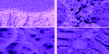 Shape-controlled synthesis of copper telluride micro/nanostructures via ...