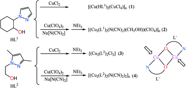 Assembly of dinuclear copper(ii) secondary building units into ...